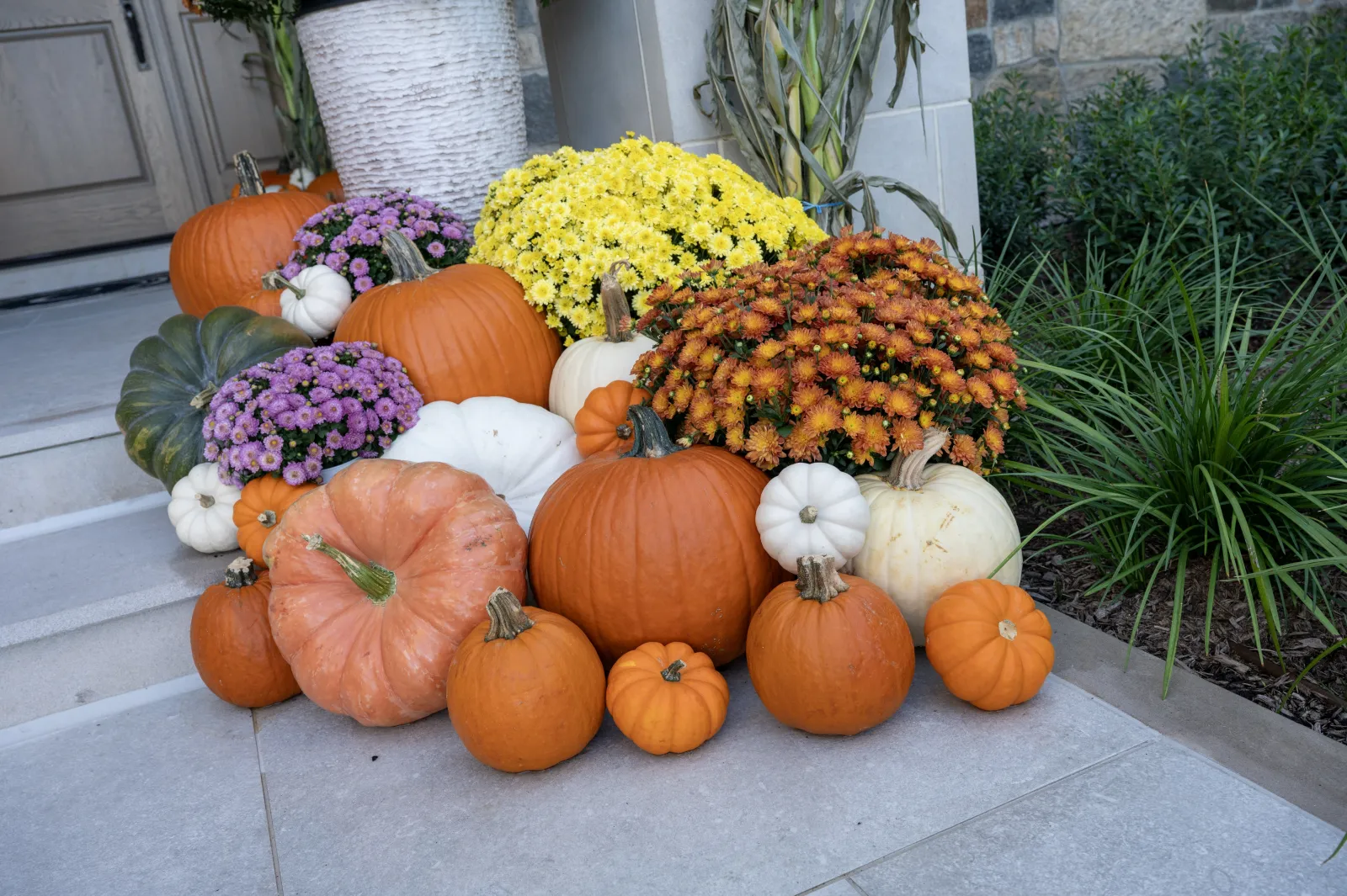 Detroit Pumpkin Company